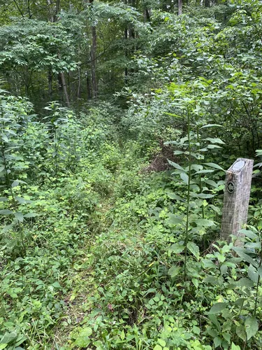 2023 Best Long Trails in Mill Run | AllTrails