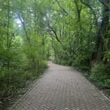 Anchorage Trail, Kentucky - 748 Reviews, Map | AllTrails