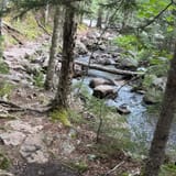 Jordan Stream Path, Maine - 119 Reviews, Map | AllTrails