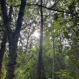 Jordan Stream Path, Maine - 119 Reviews, Map | AllTrails