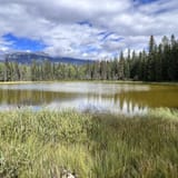 Lake Annette Loop, Alberta, Canada - 839 Reviews, Map | AllTrails