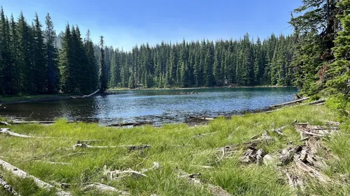 10 Best Hikes and Trails in Three Sisters Wilderness | AllTrails