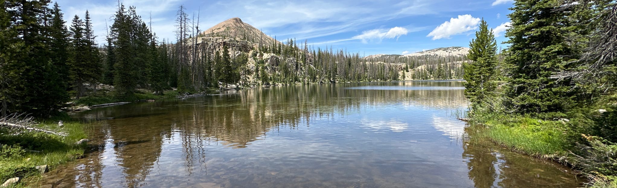 Crystal and Watson Lake Trail, Utah - 118 Reviews, Map | AllTrails