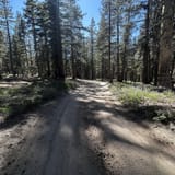 Kaiser Pass (White Bark Viewpoint), California - 55 Reviews, Map ...