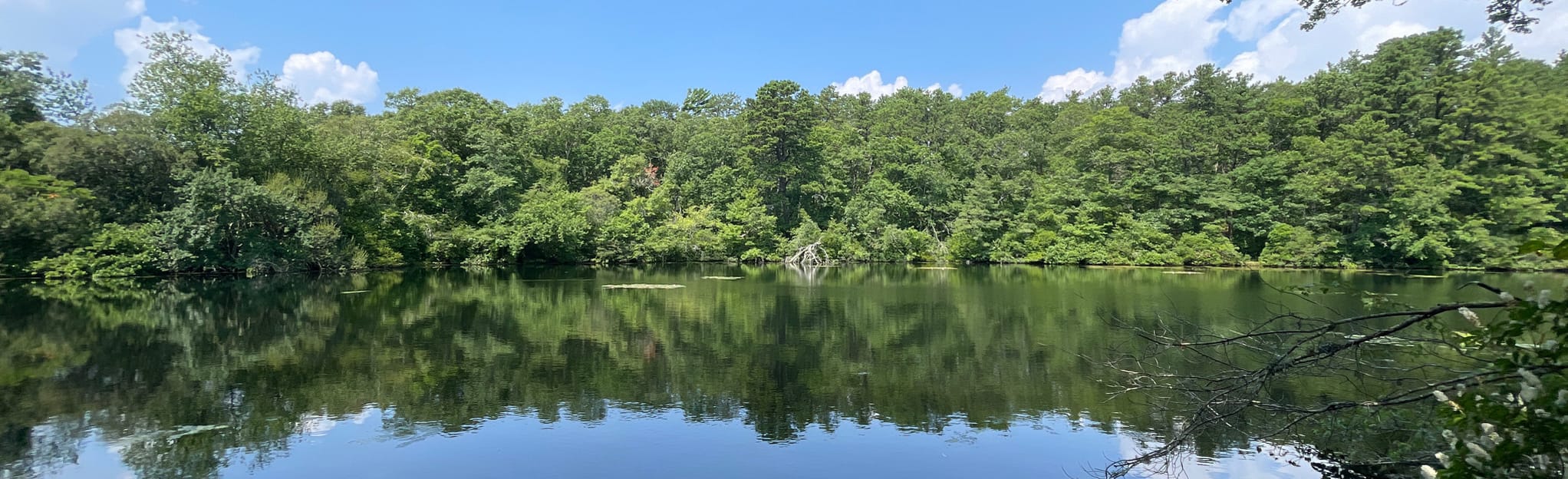 Four Ponds Loop, Massachusetts - 191 Reviews, Map | AllTrails