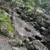 Jordan Stream Path, Maine - 119 Reviews, Map | AllTrails