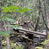 Jordan Stream Path, Maine - 119 Reviews, Map | AllTrails