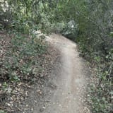 Fullerton Loop Trail, California - 4,865 Reviews, Map | AllTrails