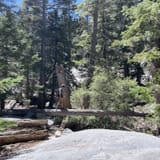 Round Valley Trail to Wellman Divide, California - 449 Reviews, Map ...