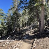 Round Valley Trail to Wellman Divide, California - 449 Reviews, Map ...