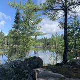 Angleworm Lake Trail, Minnesota - 108 Reviews, Map | AllTrails