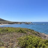 Point Buchon Trail, California - 578 Reviews, Map | AllTrails