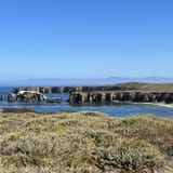 Point Buchon Trail, California - 578 Reviews, Map | AllTrails