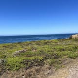 Point Buchon Trail, California - 578 Reviews, Map | AllTrails