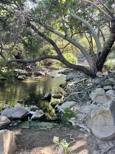 Best Hikes and Trails in Elfin Forest Recreational Reserve | AllTrails