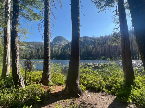 10 Best Backpacking Trails in Trinity Alps Wilderness | AllTrails