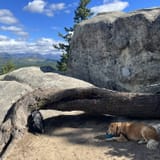 Cheese Rock Trail, Washington - 338 Reviews, Map | AllTrails