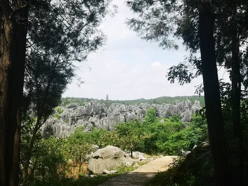 Best Hikes and Trails in Shilin Stone Forest Scenic Area | AllTrails