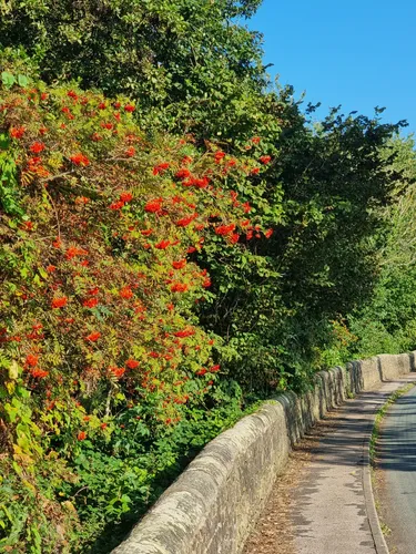 2023 Best City Walk Trails in Bootle | AllTrails