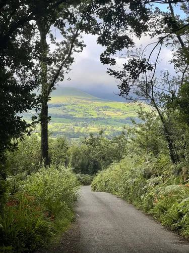 Best Hikes and Trails in Bansha Forest | AllTrails