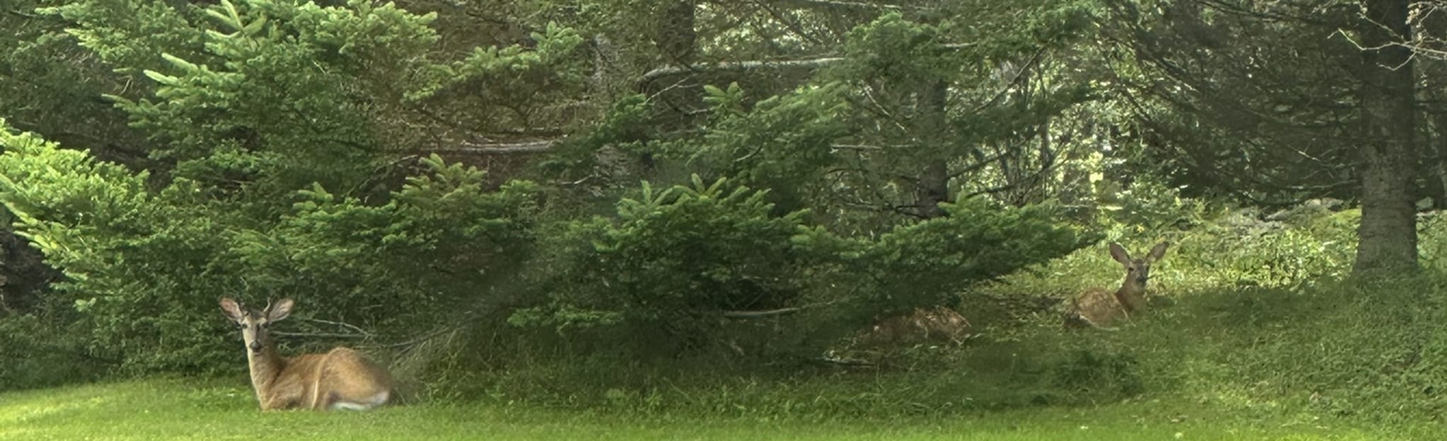 lun, Indian Path, East Lahave, Riverport and Bay Port, Nova Scotia ...