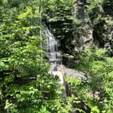 Bushkill Falls Red Trail, Pennsylvania - 574 Reviews, Map | AllTrails