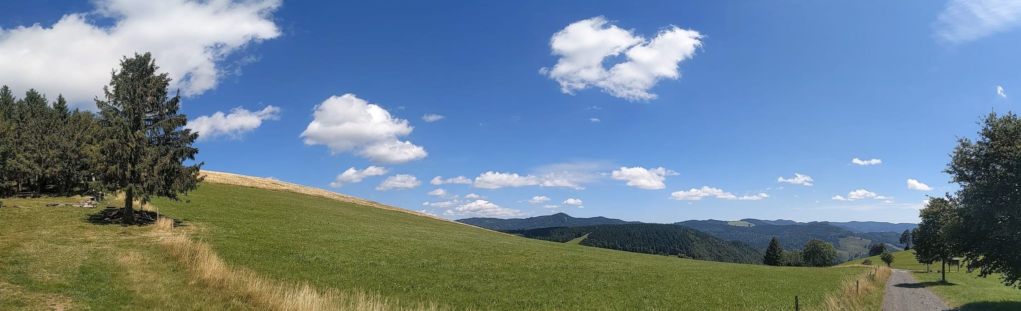 Auf dem Hornweg um den Horn : 6 Photos - Bade-Wurtemberg, Allemagne ...
