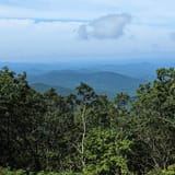 Springer Mountain, Georgia - 629 Reviews, Map | AllTrails