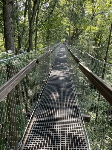 Best Hikes and Trails in Holden Arboretum | AllTrails