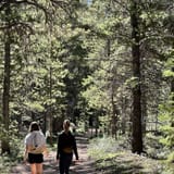 Boreas Pass Road and Baker's Tank Trail Loop, Colorado - 759 Reviews ...