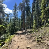 Boreas Pass Road and Baker's Tank Trail Loop, Colorado - 759 Reviews ...