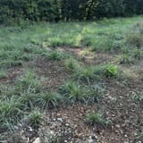 Deer Ridge Park 4K Loop, Missouri - 121 Reviews, Map | AllTrails