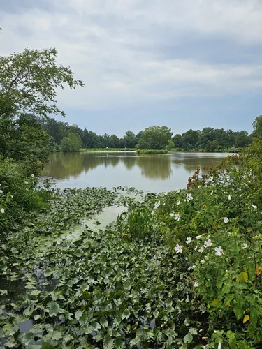 Best Hikes and Trails in Burba Lake Recreation Area | AllTrails