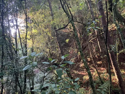 10 Best Hikes and Trails in Zona de Protección Ambiental Pico Azul - La ...