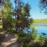 Talkeetna Lake Trail, Alaska - 586 Reviews, Map | AllTrails