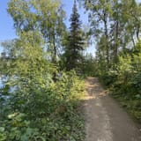 Talkeetna Lake Trail, Alaska - 615 Reviews, Map | AllTrails