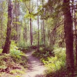 Talkeetna Lake Trail, Alaska - 615 Reviews, Map | AllTrails