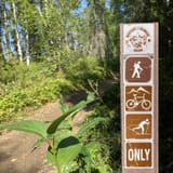 Talkeetna Lake Trail, Alaska - 615 Reviews, Map | AllTrails