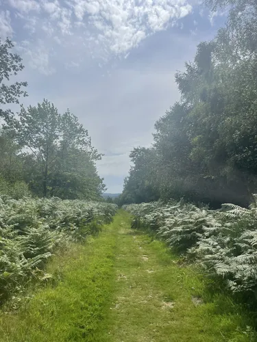 2023 Best 10 Lake Trails in High Weald Area of Outstanding Natural ...