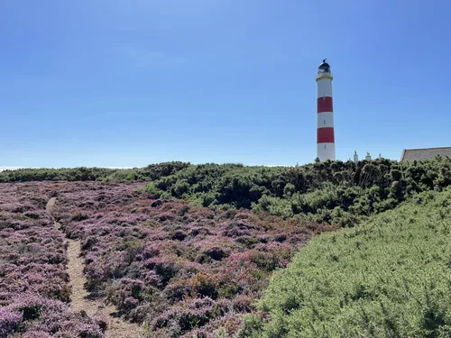 2023 Best Beach Trails in Tain | AllTrails