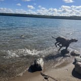 Joyce Estate Trail, Minnesota - 26 Reviews, Map | AllTrails