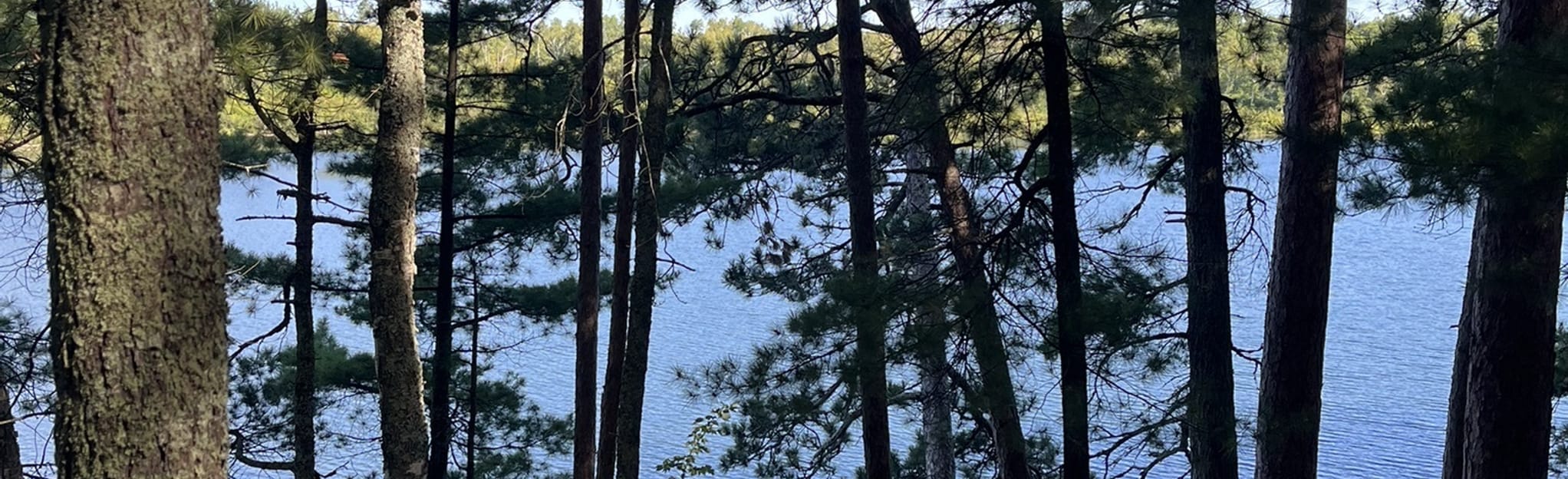 Joyce Estate Trail, Minnesota - 13 Reviews, Map | AllTrails