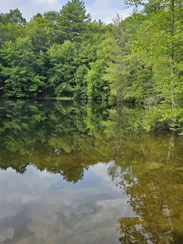 2023 Best Kid Friendly Trails in Assonet | AllTrails