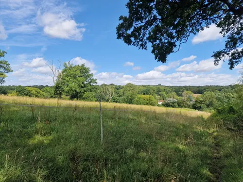 Best Easy Trails in Broxbourne | AllTrails