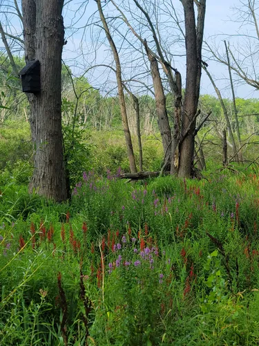 Best Hikes and Trails in Riverside County Park | AllTrails