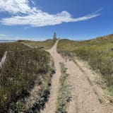 Cattle Point Trail, Washington - 121 Reviews, Map | AllTrails