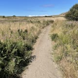 Cattle Point Trail, Washington - 121 Reviews, Map | AllTrails