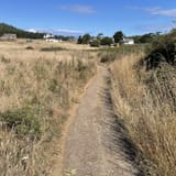 Cattle Point Trail, Washington - 121 Reviews, Map | AllTrails