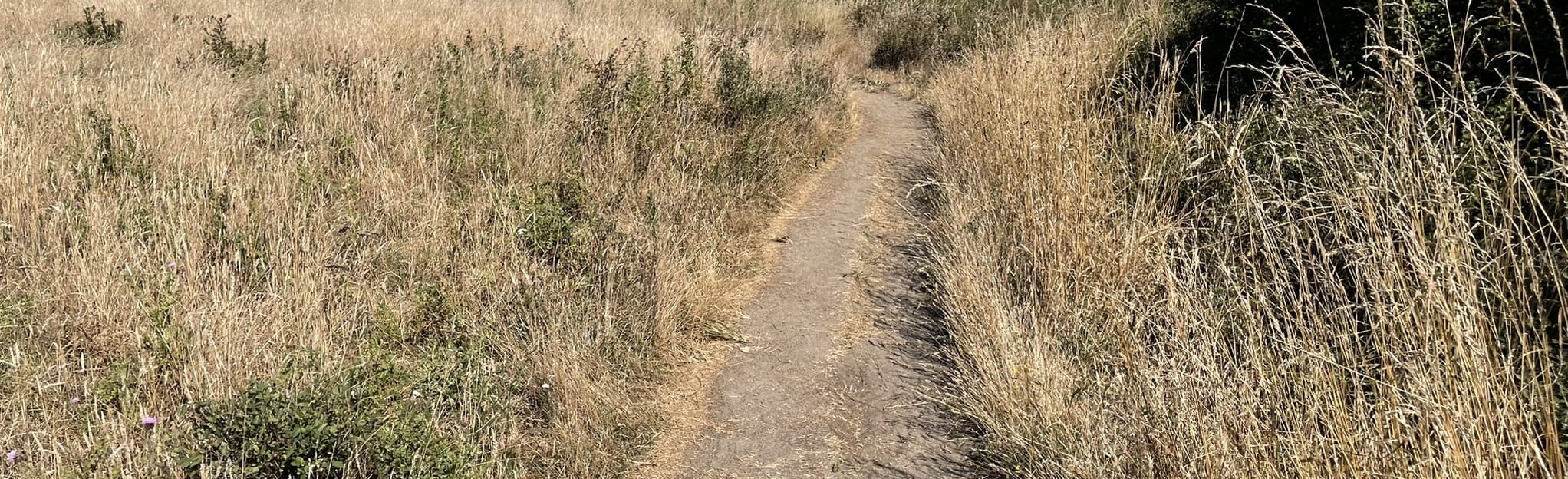 Cattle Point Trail, Washington - 102 Reviews, Map | AllTrails