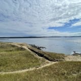 Cattle Point Trail, Washington - 121 Reviews, Map | AllTrails